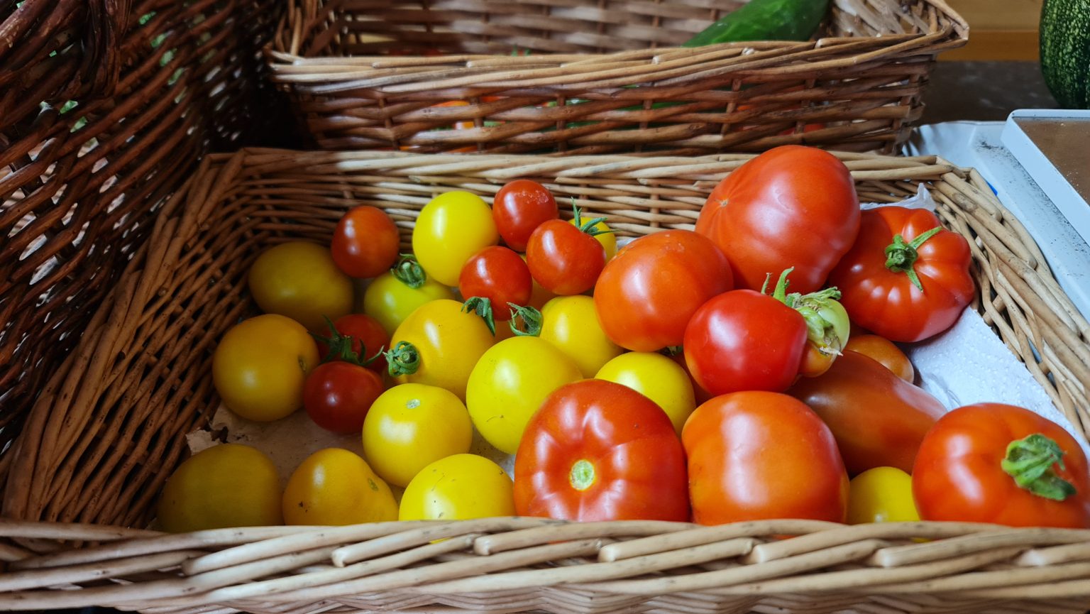 Foodstuff - Dale Farm Trust