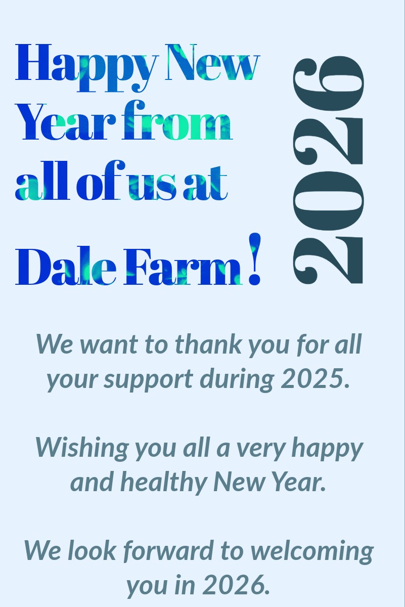 Welcoming 2026 - Dale Farm Trust